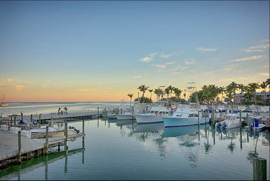 Key Largo Fishing Charter: Your Unforgettable Fishing Trip | Guidesly