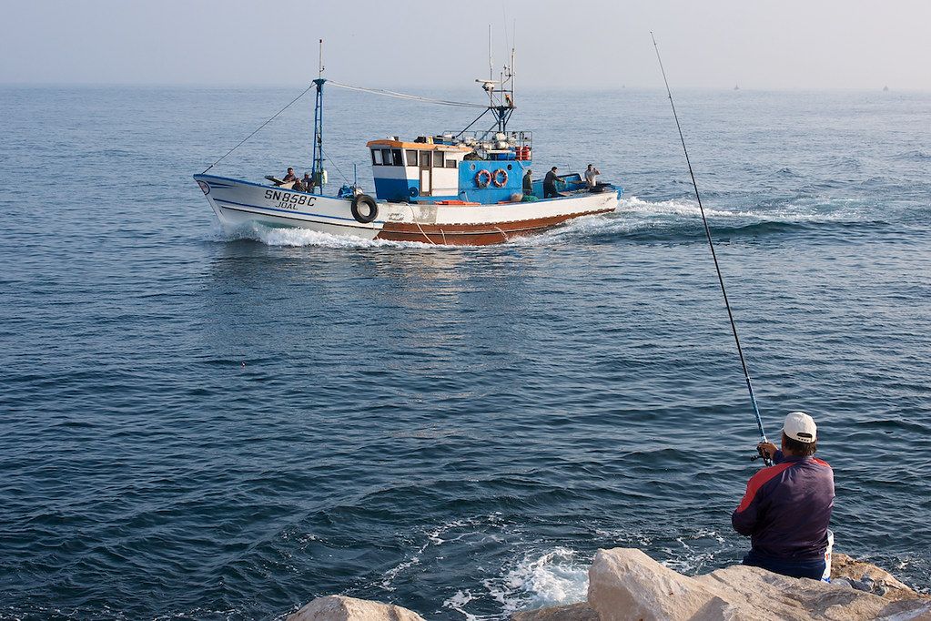 Fishing Techniques You Need To Know | Guidesly