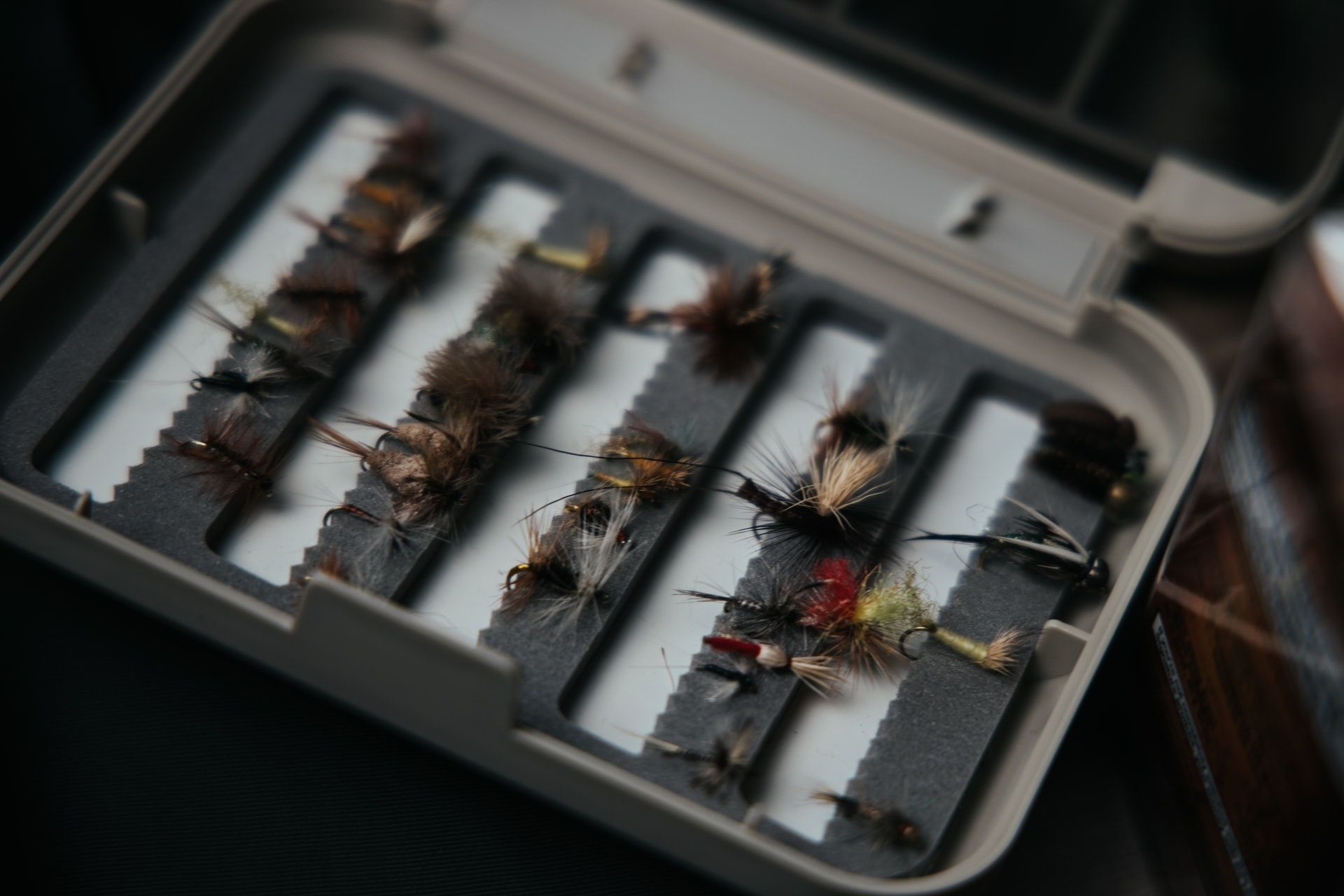 5 Ways to Make Your Flies Last Longer | Guidesly