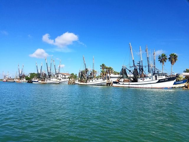 Port Isabel, TX Fishing: Explore this Fishing Paradise | Guidesly