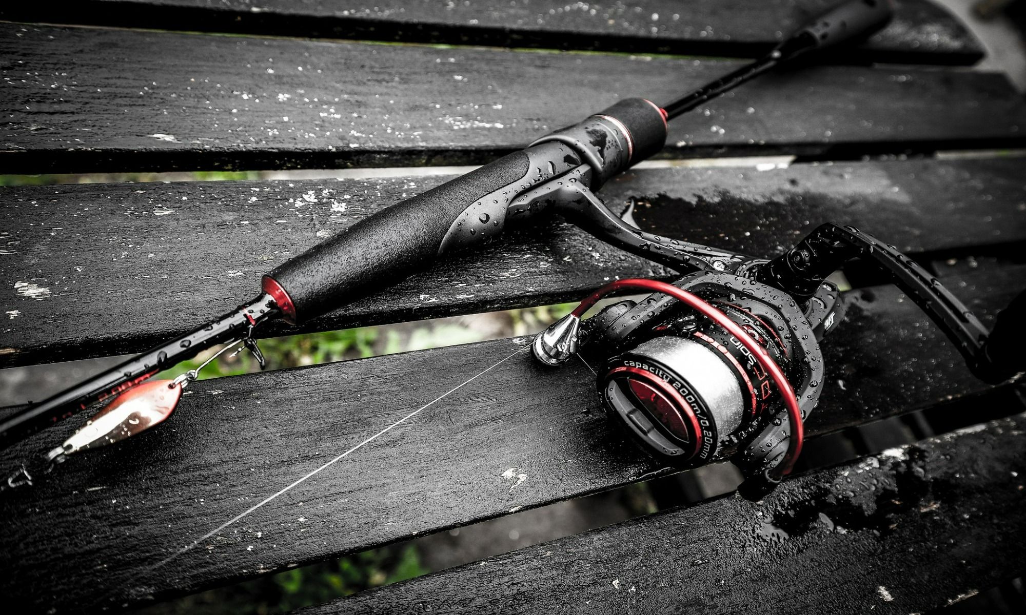 Top 10 Best Fishing Rods for Buoy 10 | Guidesly