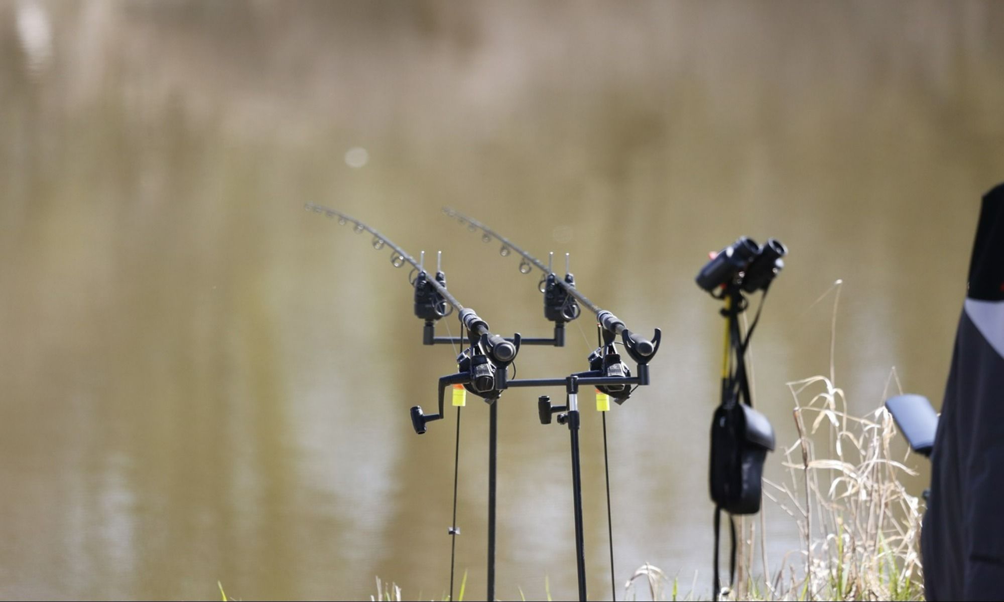 5 Best Rods for Pan Fishing | Guidesly