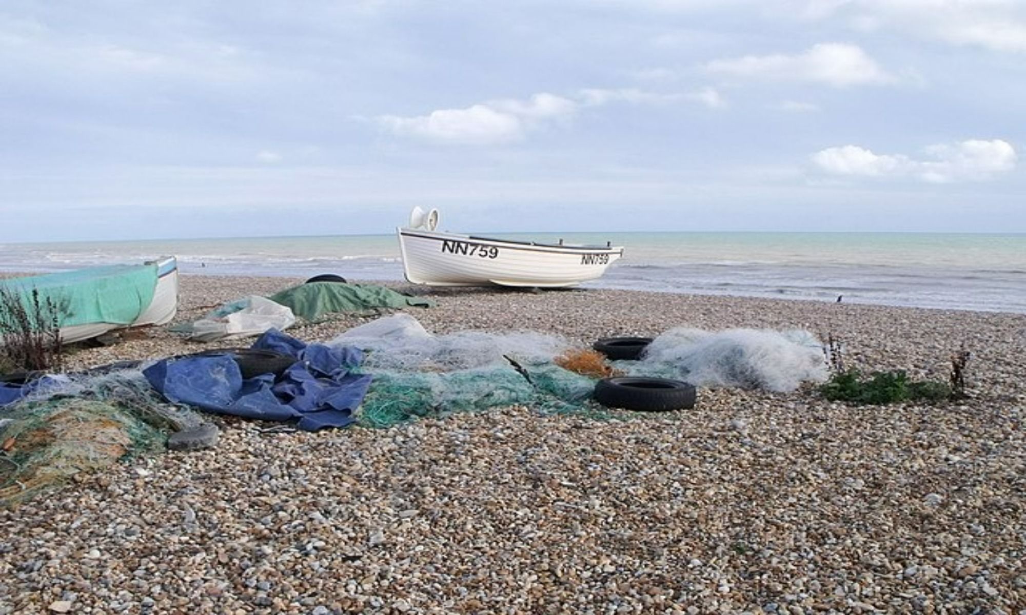 Battenkill River Fishing Report