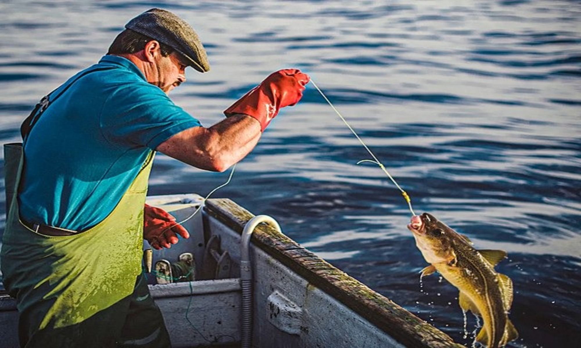 Is Handlining a Difficult Technique of Fishing? | Guidesly