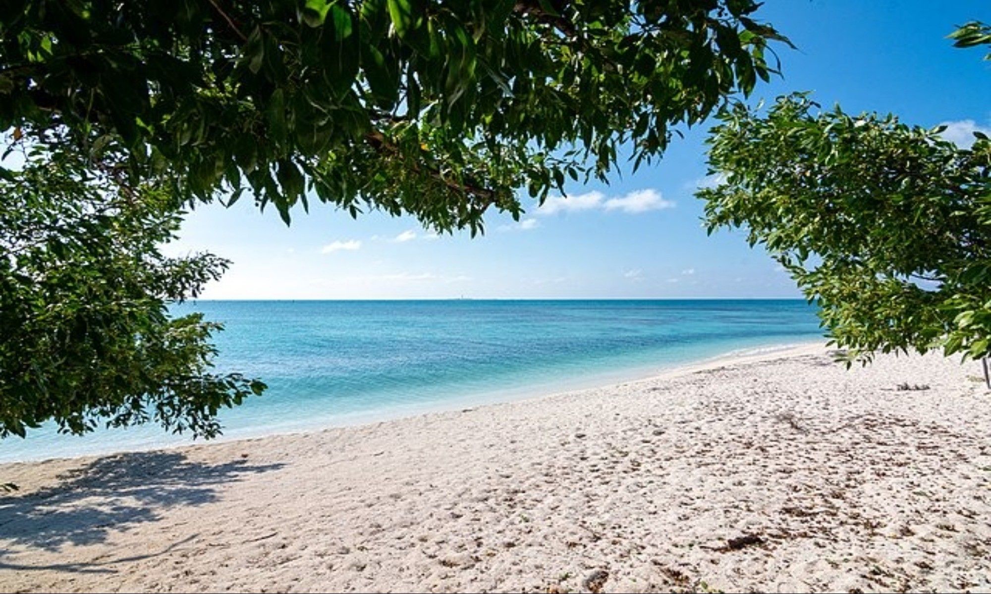 Key Differences betweem Saltwater and Freshwater Fishing | Guidesly